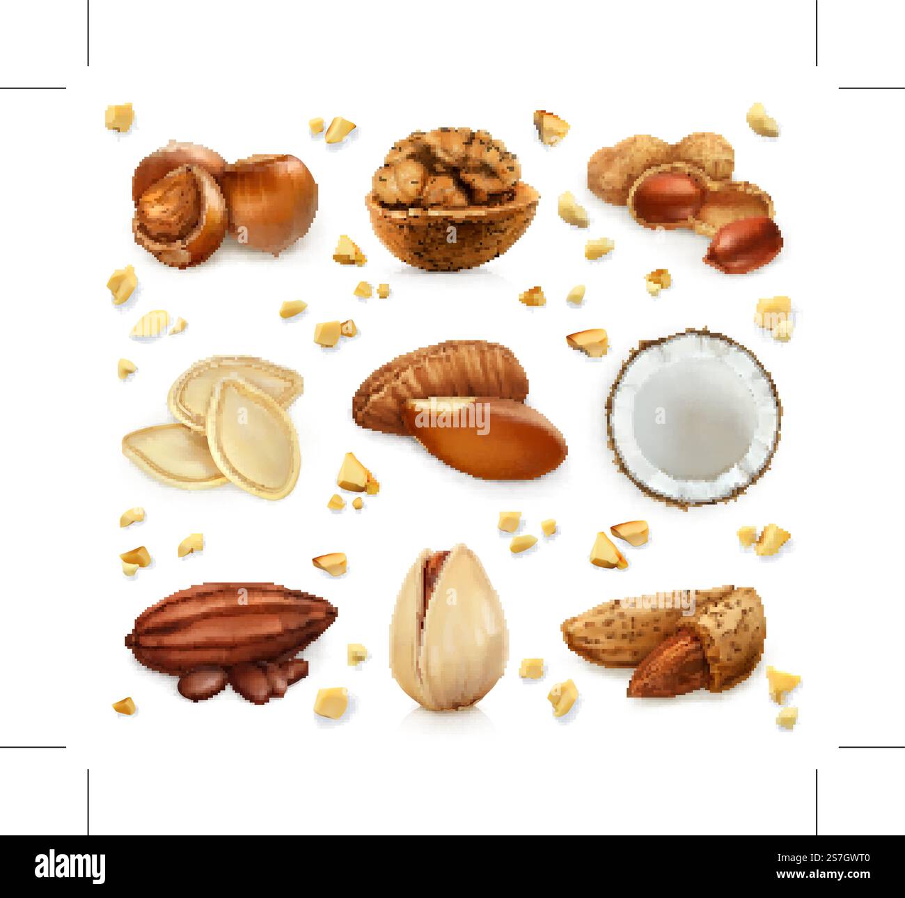 Natural walnut in shell Stock Vector Images - Alamy