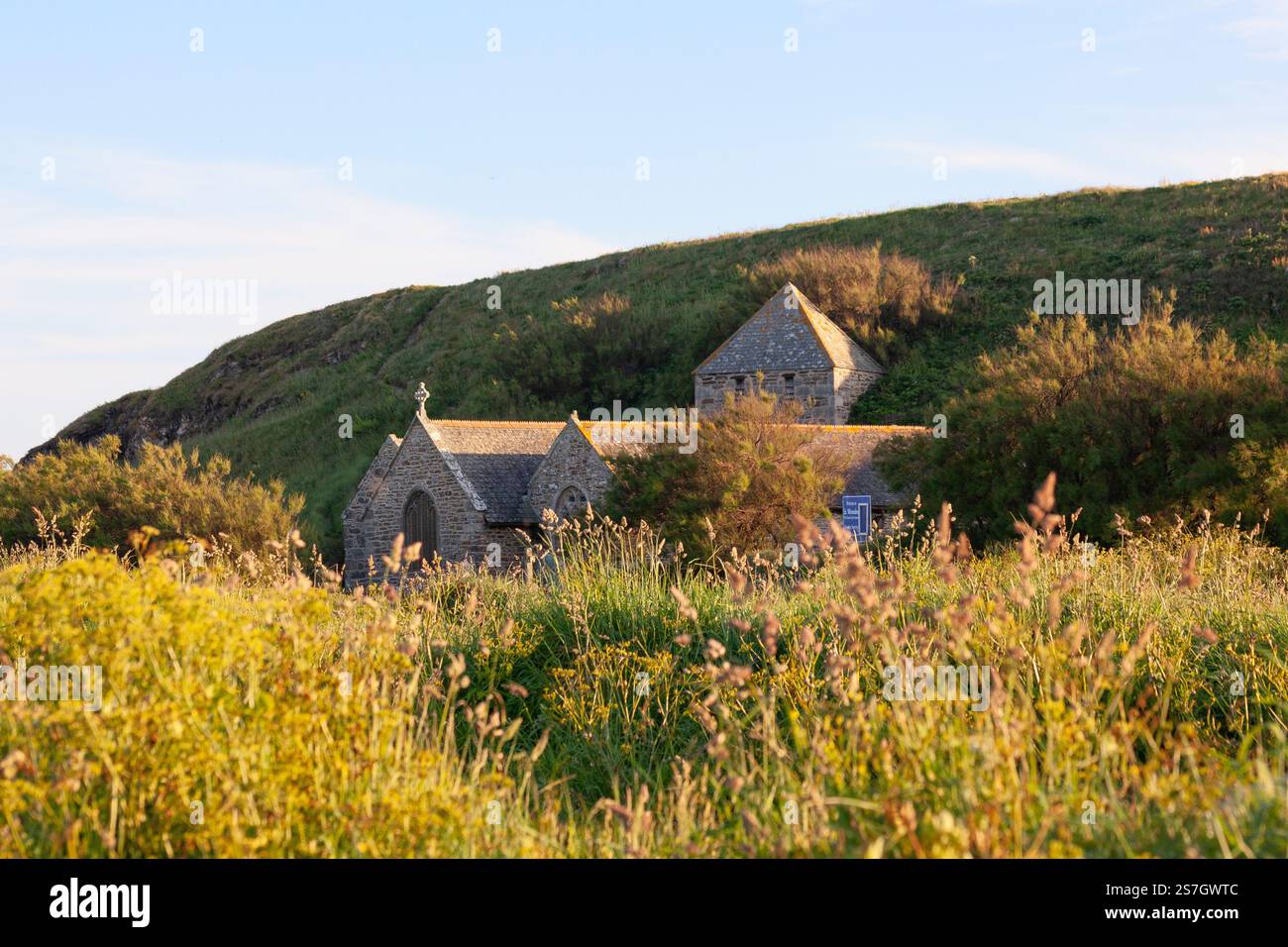 Grasses at golden hour in Gunwalloe Church Cove, Cornwall Stock Photo ...