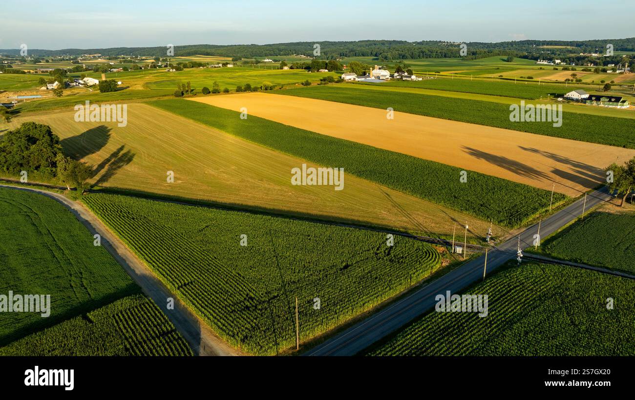Expansive farm fields stretch across the landscape, featuring green and golden crops under a ...