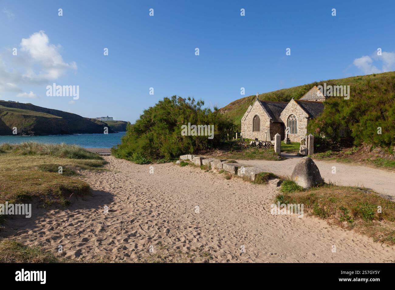 Tamarisk at Gunwalloe Church Cove, Cornwall Stock Photo - Alamy
