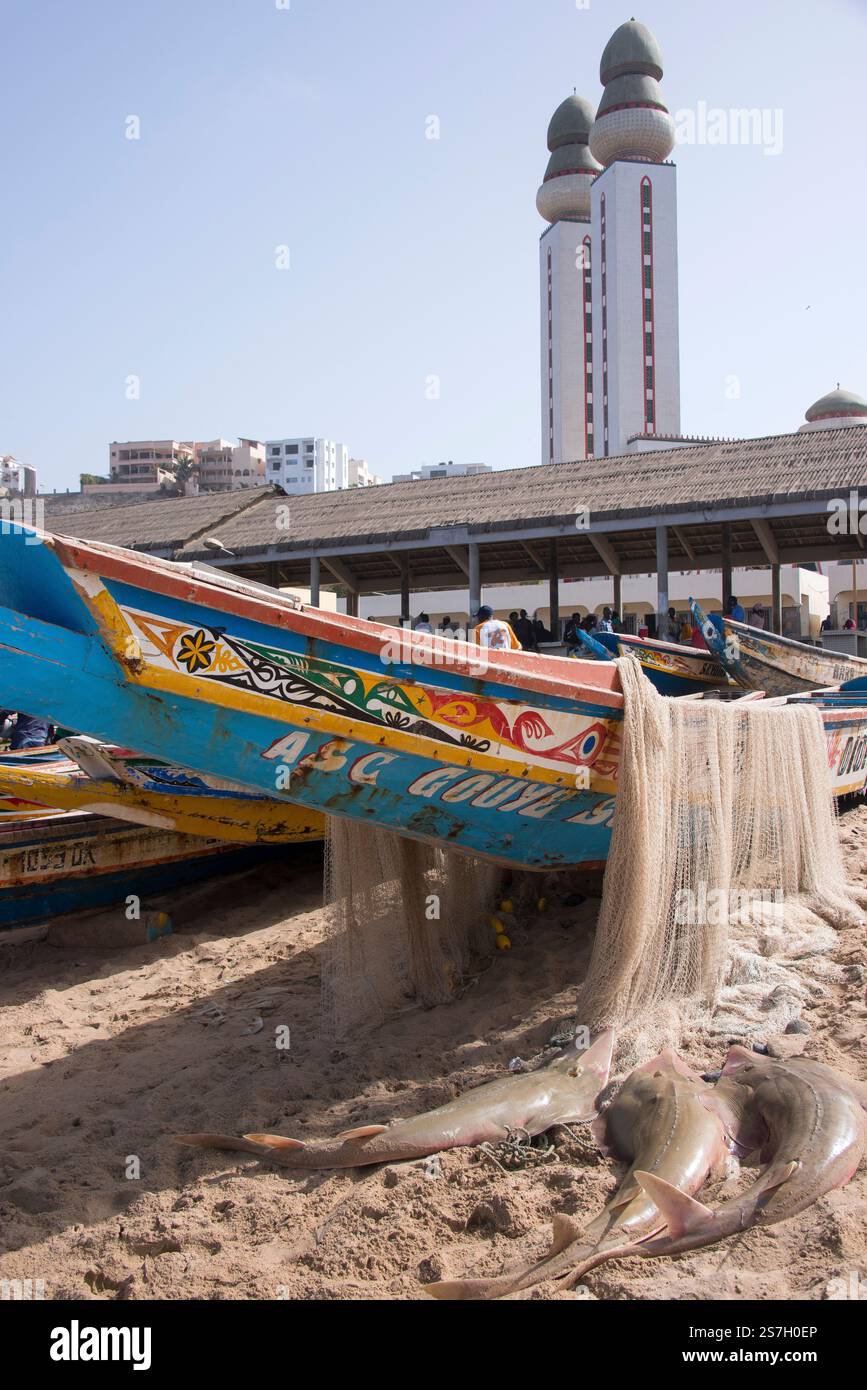 Fish and nets on the sand of the beach, near a fishing boat in Ouakam ...