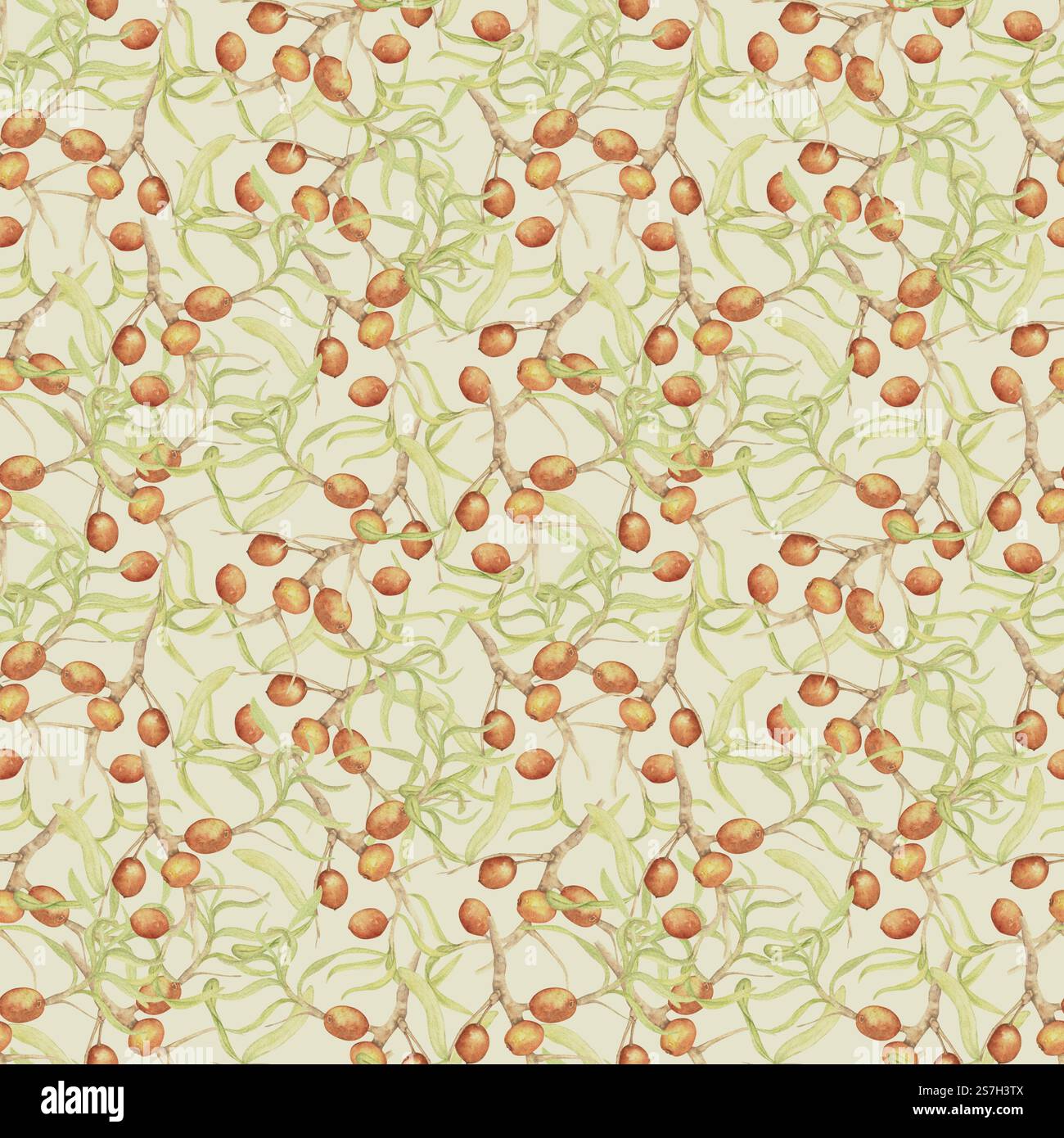 Seamless pattern with olive branches and fruits, executed in watercolor ...