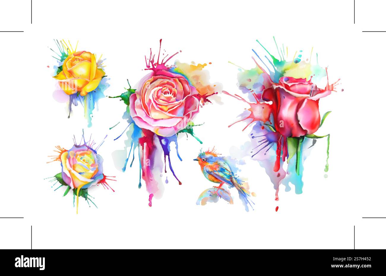 Robin summer Stock Vector Images - Alamy