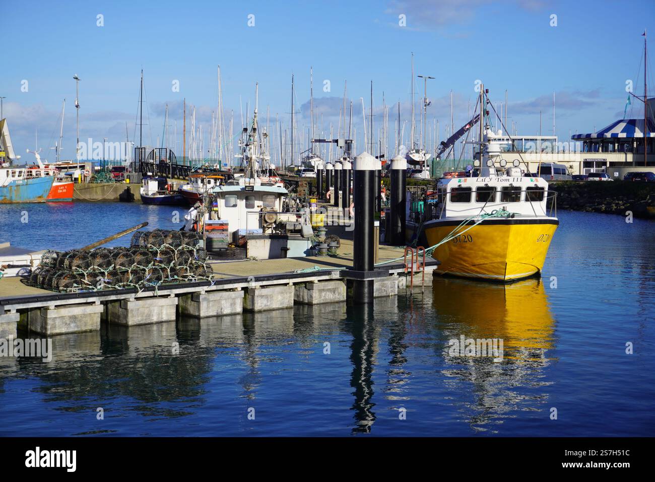 Howth Pier Park - 1st November 2023 Stock Photo - Alamy