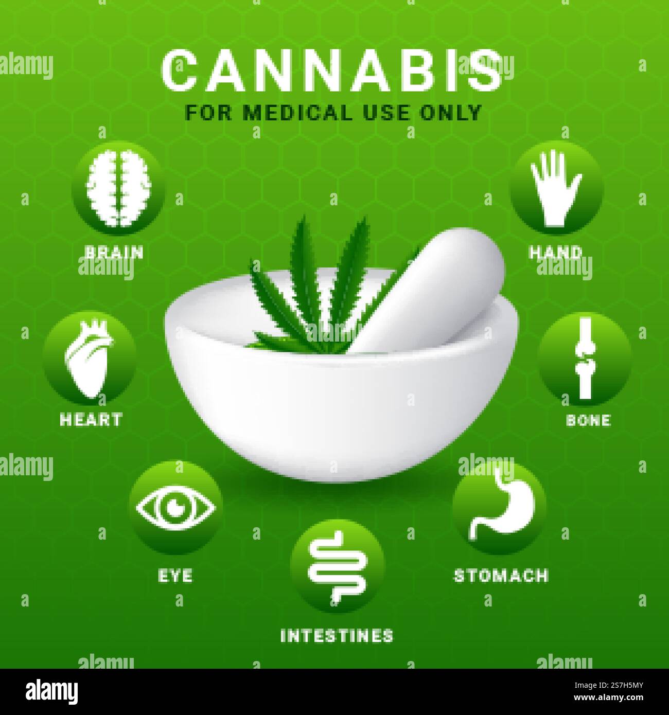 Infographic supplement Stock Vector Images - Alamy