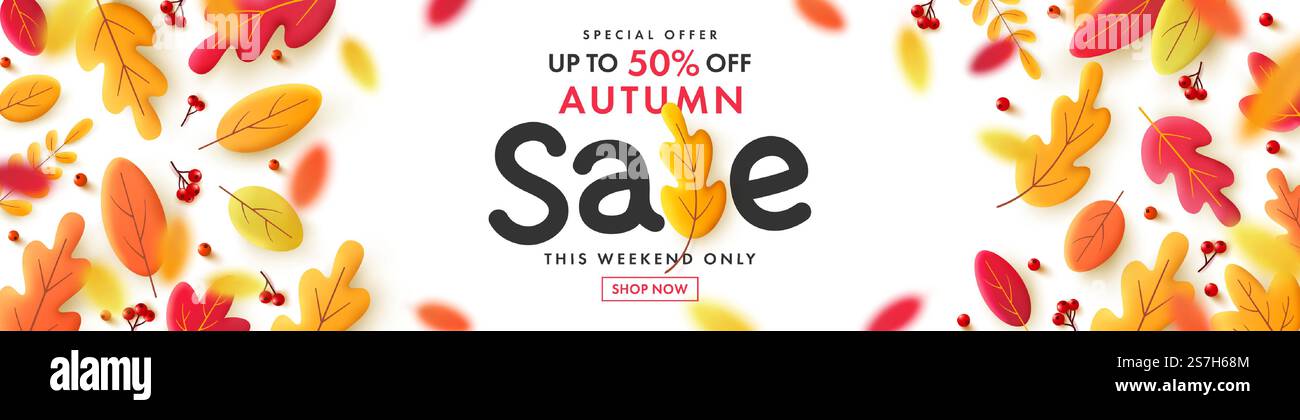 Vector of Autumn Sale poster or banner with falling leaves.Greetings ...