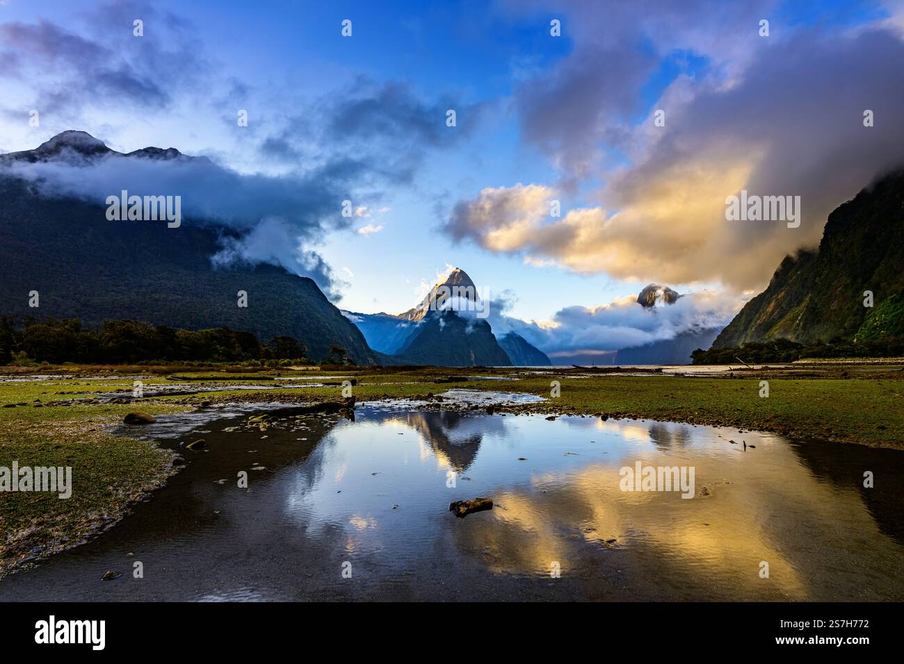 Milford Sound / Piopiotahi is a fiord in the south west of New Zealand ...