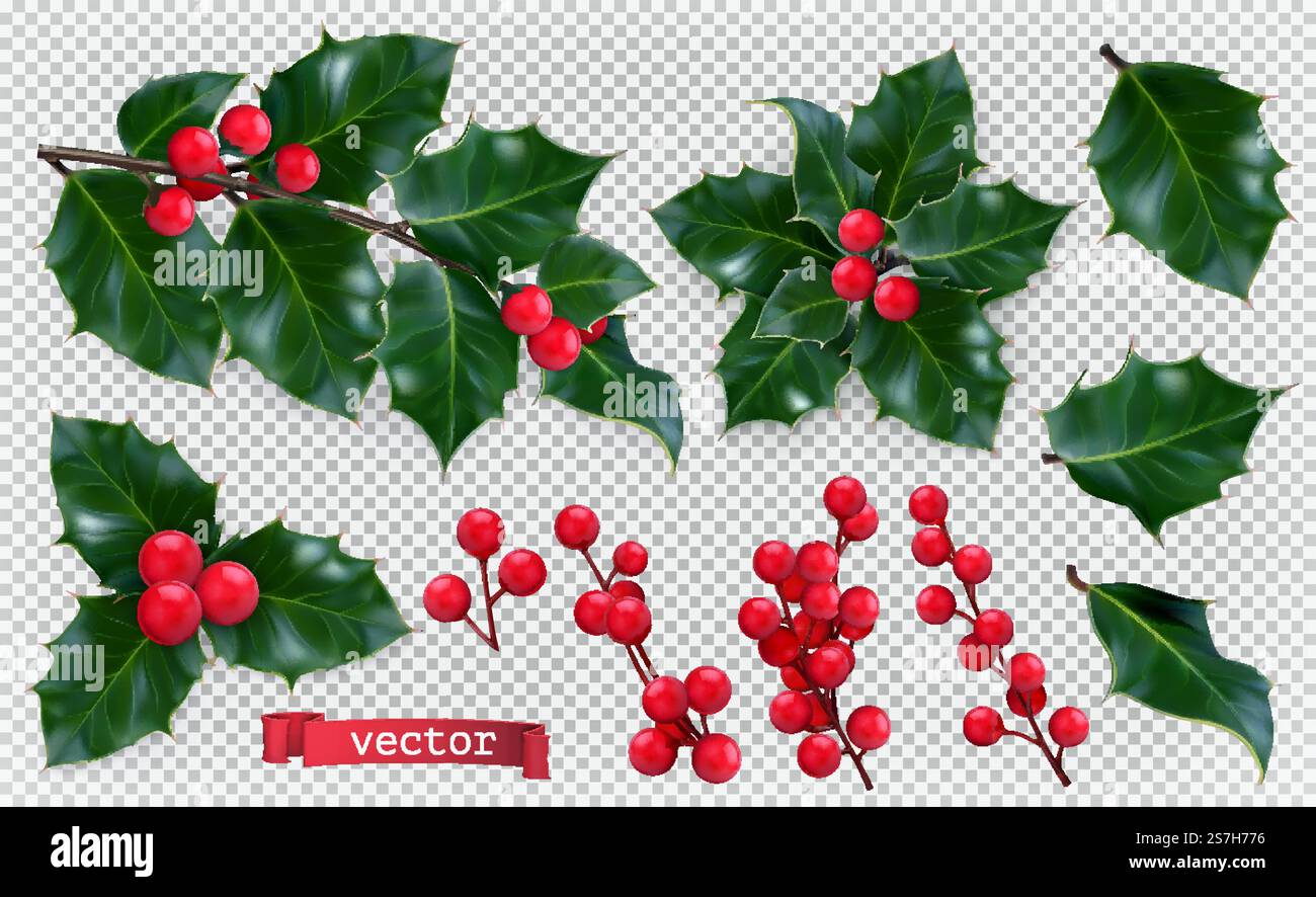 Christmas decorations. Holly, red berries. 3d realistic vector icon set ...