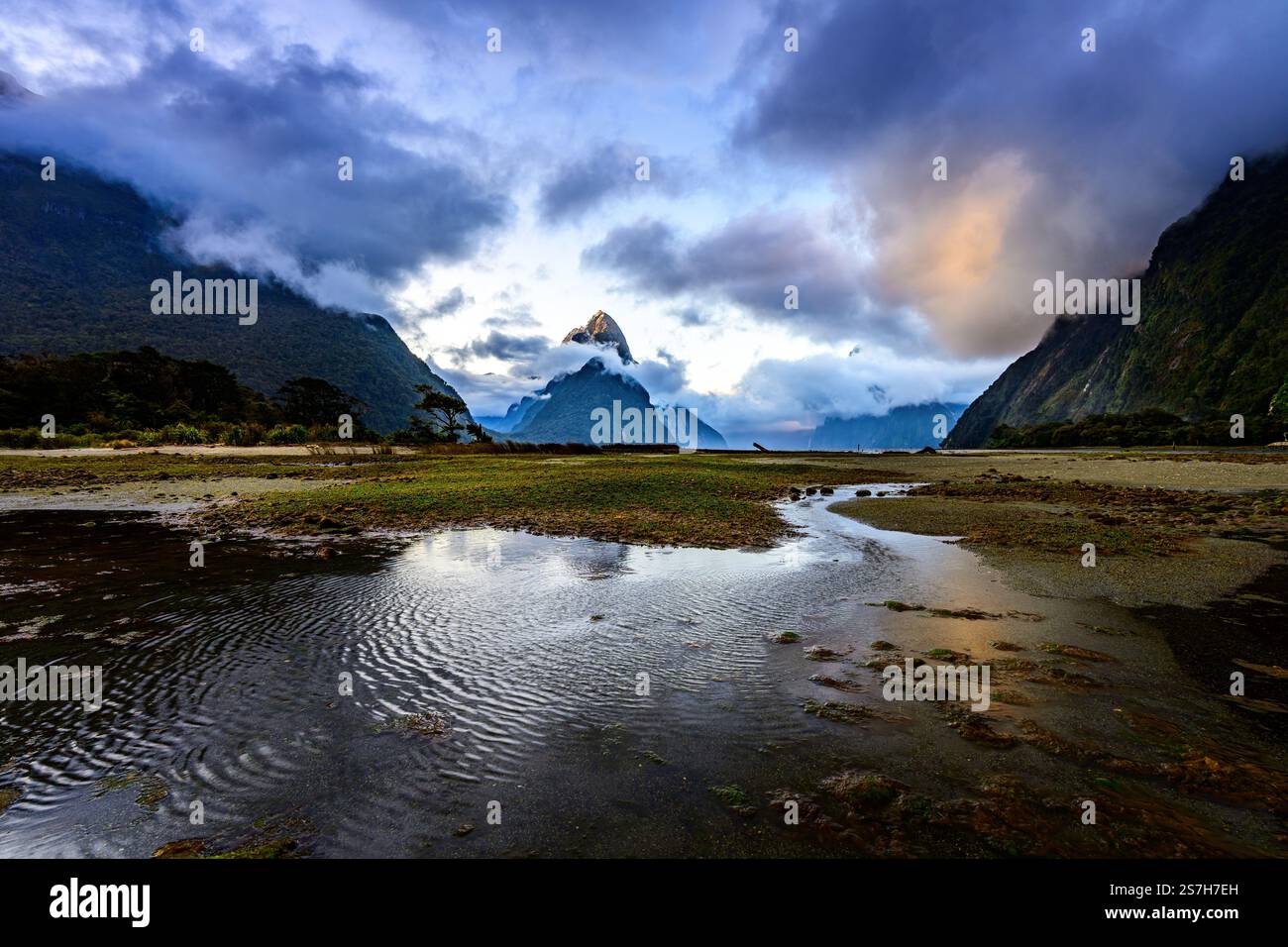 Milford Sound / Piopiotahi is a fiord in the south west of New Zealand ...