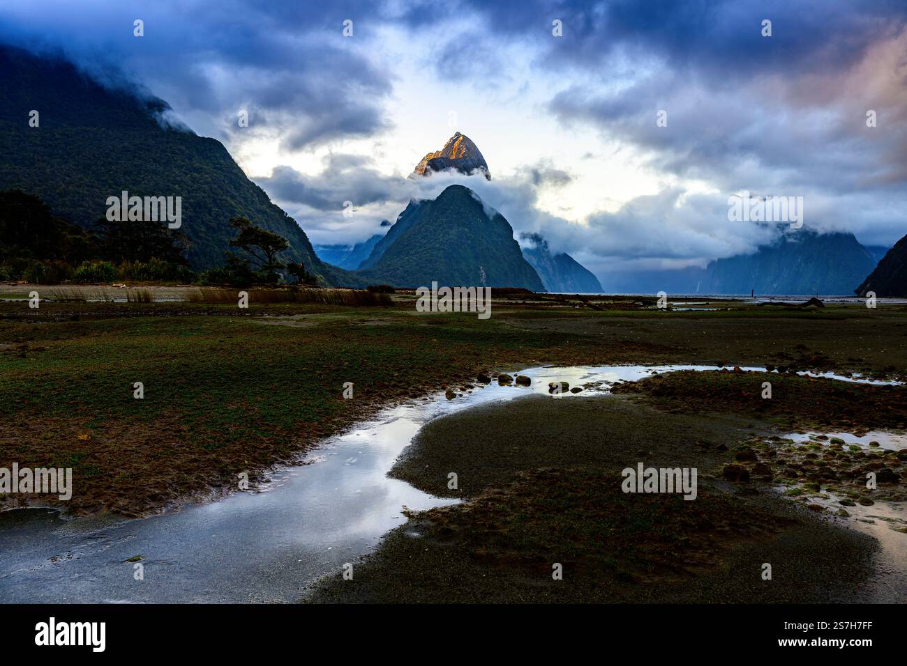 Milford Sound / Piopiotahi is a fiord in the south west of New Zealand ...