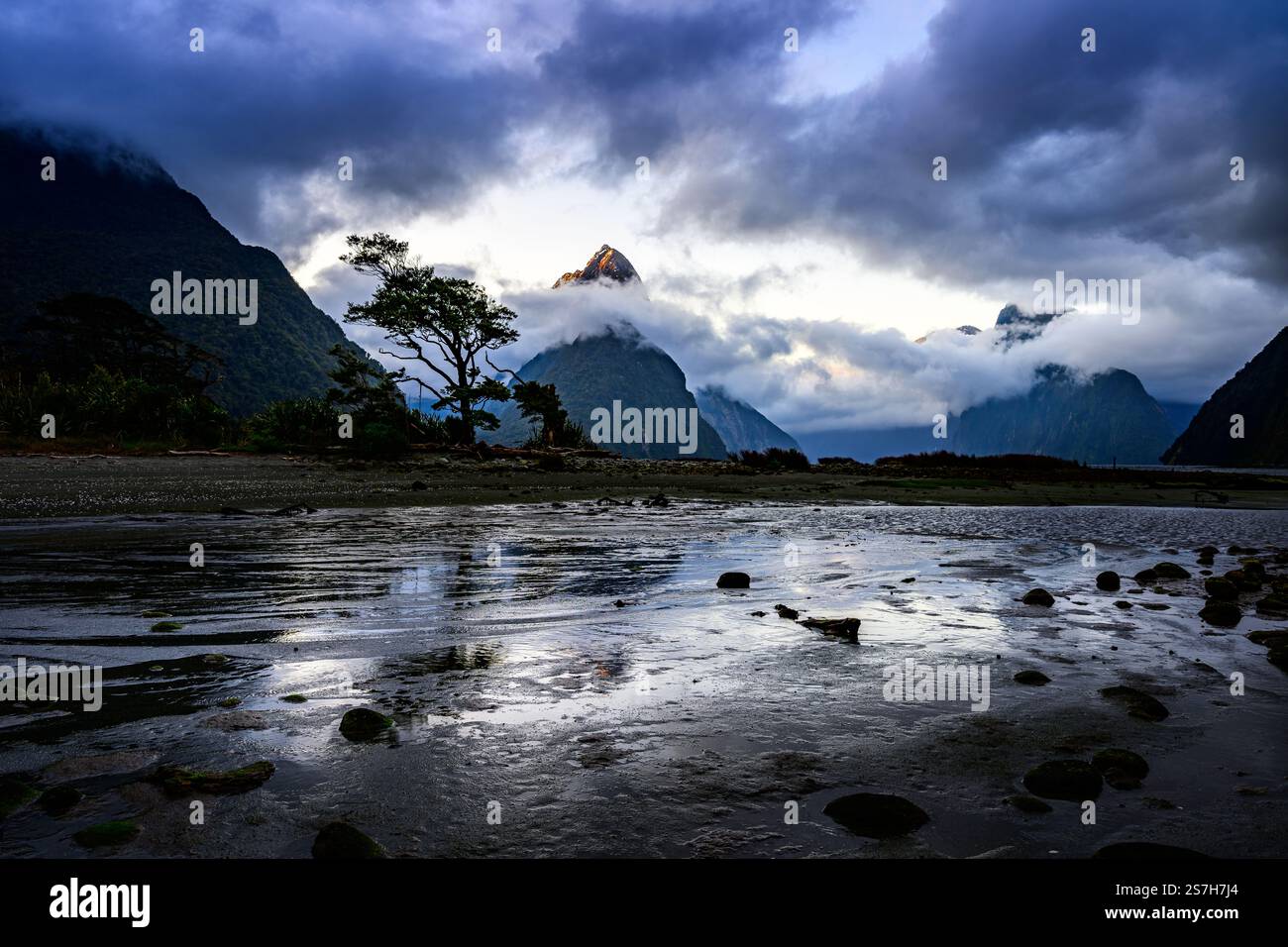 Milford Sound / Piopiotahi is a fiord in the south west of New Zealand ...