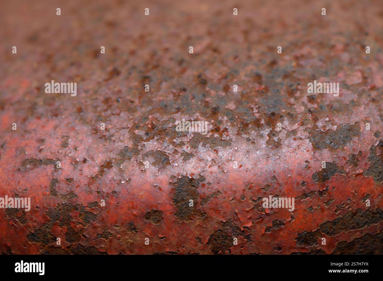 Layers of rust and decay showcase nature's art on a once-vibrant ...