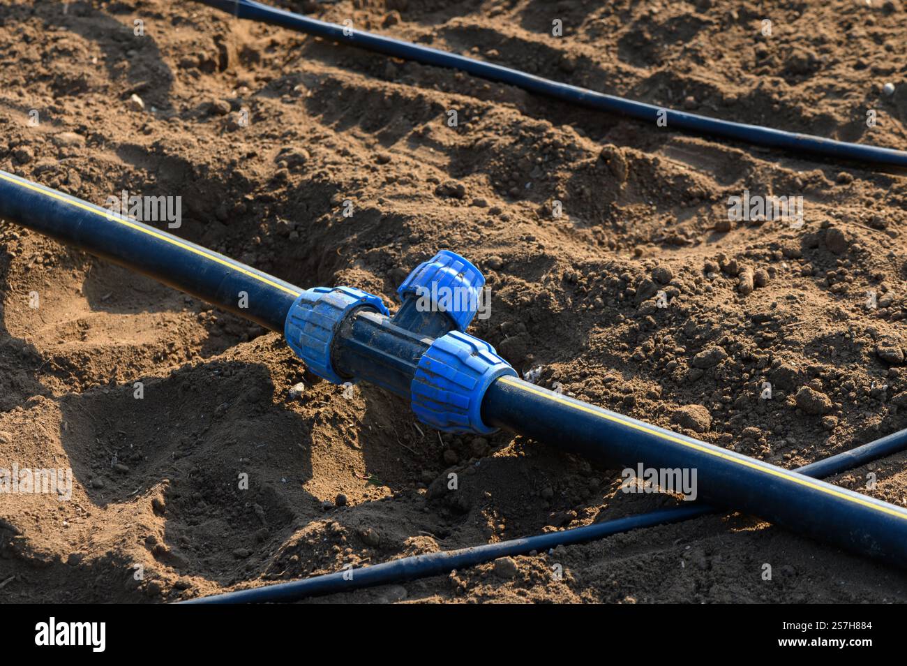 A well-constructed irrigation setup supports plant growth in a vibrant ...