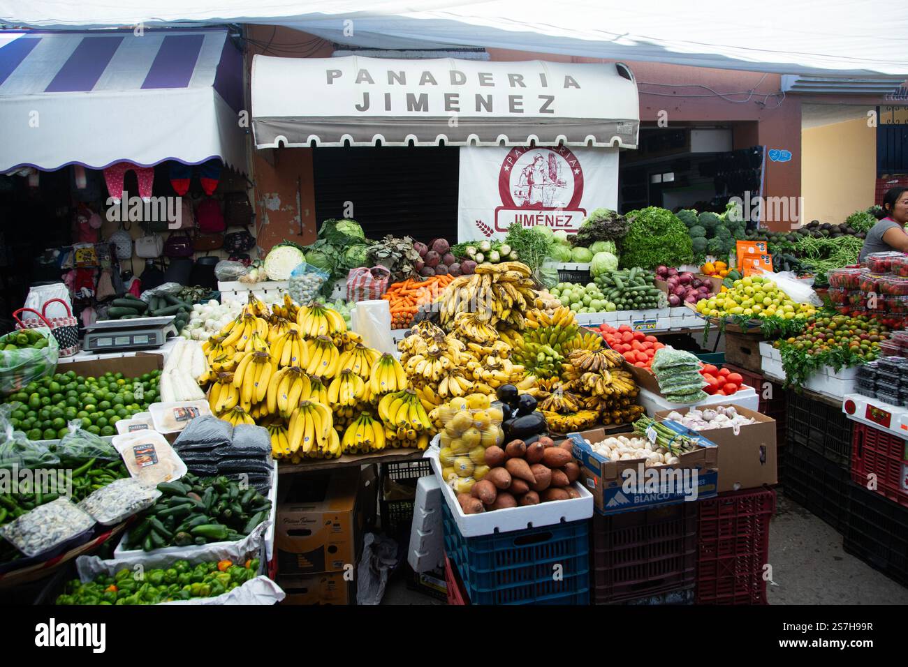 Tlacolula, Mexico; 1st January 2025: Vendor stalls and market ...