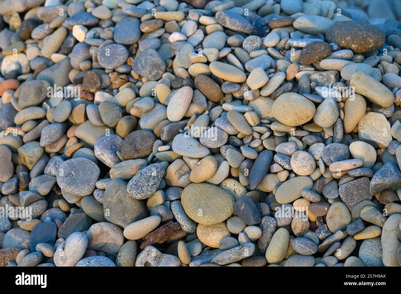 Smooth, colorful pebbles of various shapes and sizes create a serene ...