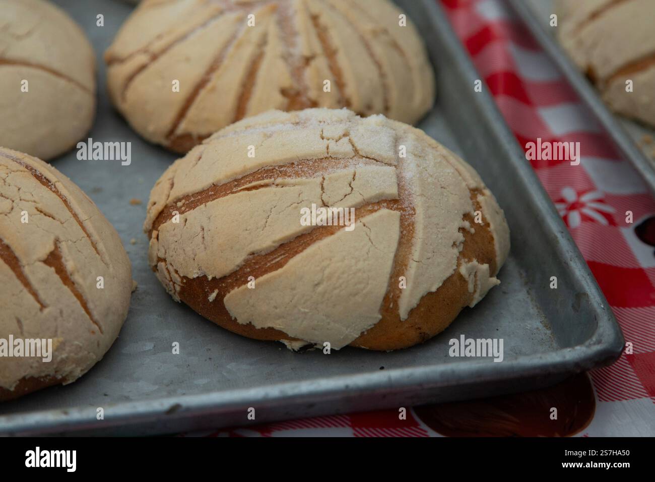 Pan de concha. Mexican sweet bread at a street food stand in Oaxaca Stock Photo - Alamy