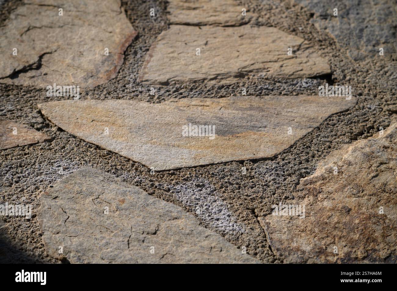 Warm sunlight reveals intricate textures and patterns of a well-worn ...
