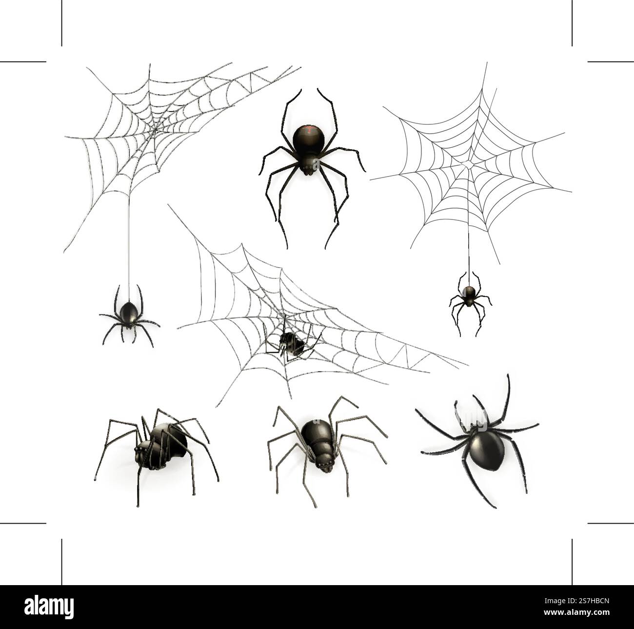Spiders and spider web, vector set Stock Vector Image & Art - Alamy