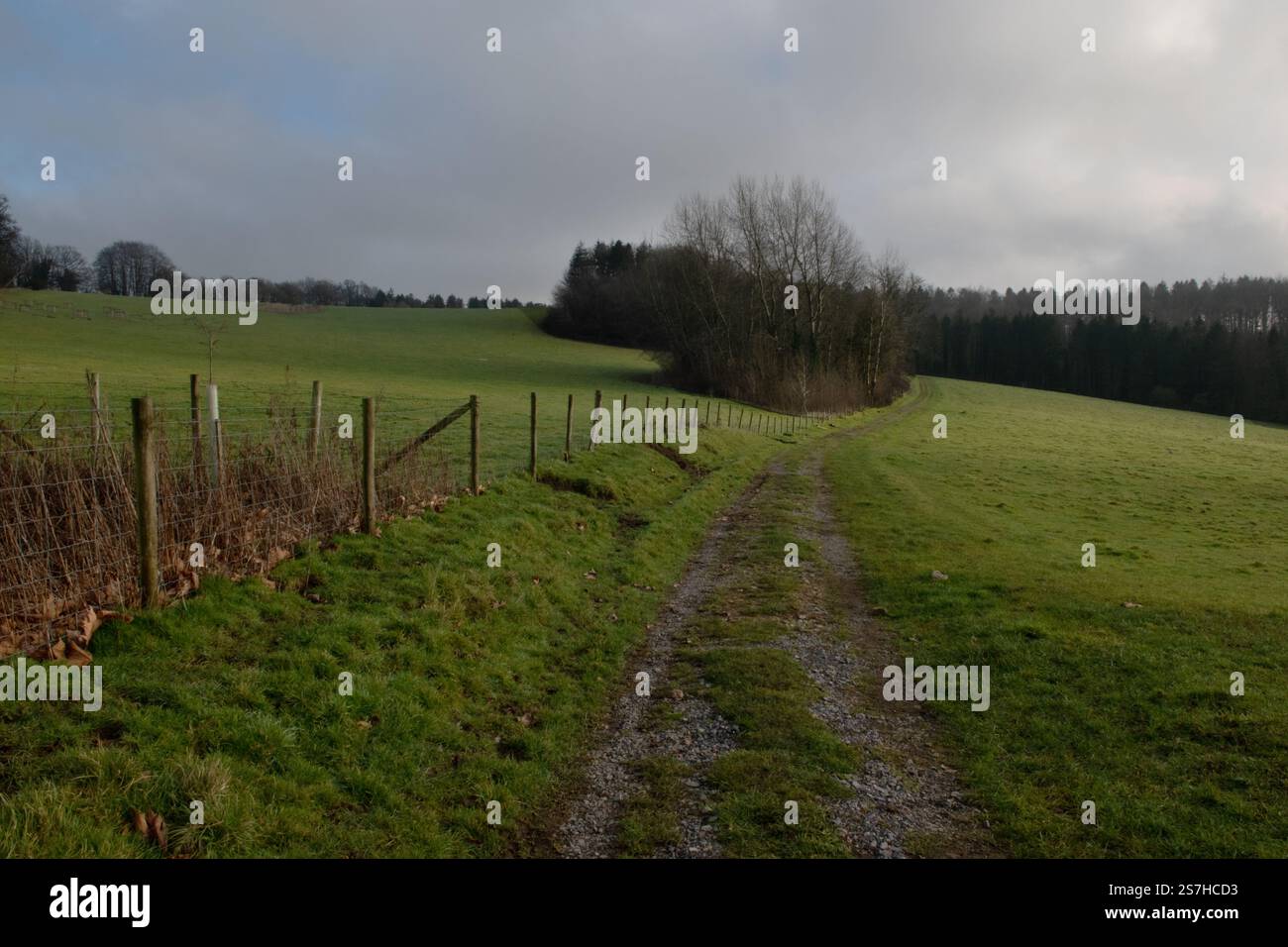 Radstock somerset england hi-res stock photography and images - Alamy