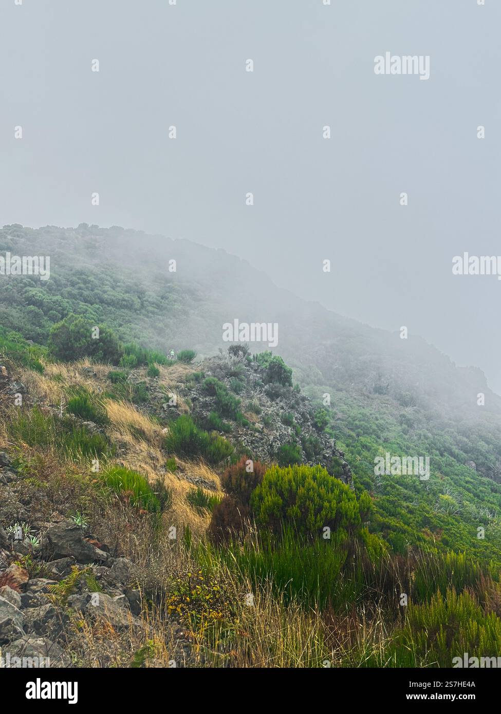 Madeira island Portugal mountains cliff hill fog mist dramatic contrast ...