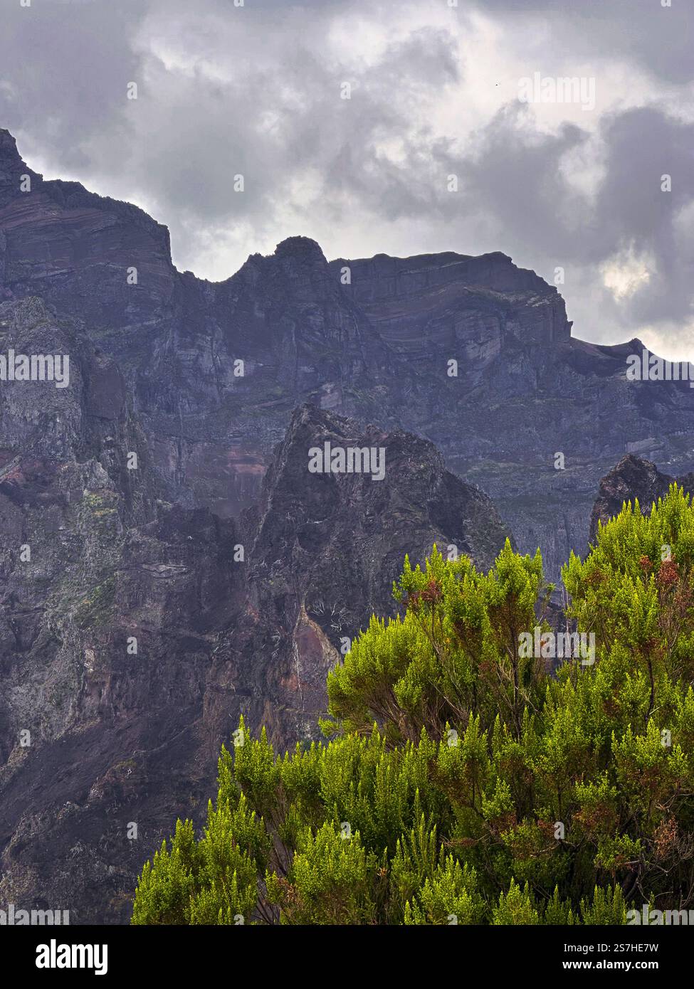 Consequences forest fires in mountains hi-res stock photography and ...