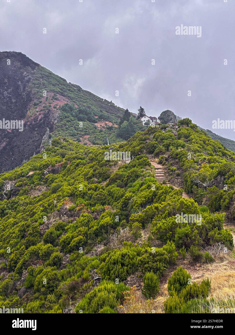 Madeira island hiking trail path valley forest fires consequences ...