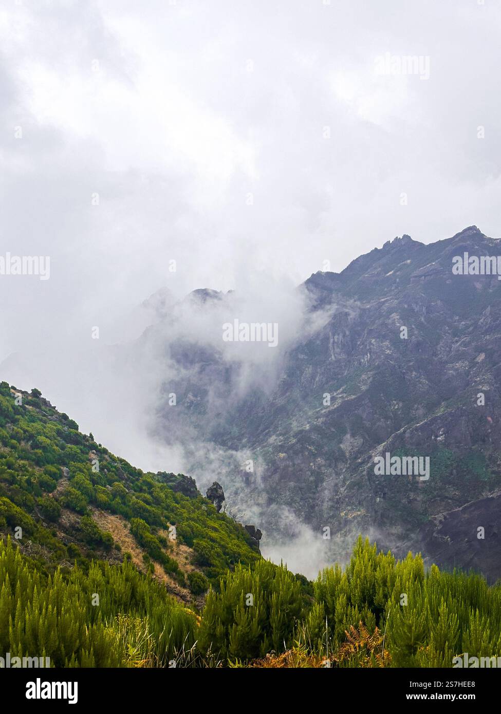PR1 Madeira island Portugal forest fires consequences greenery rough ...