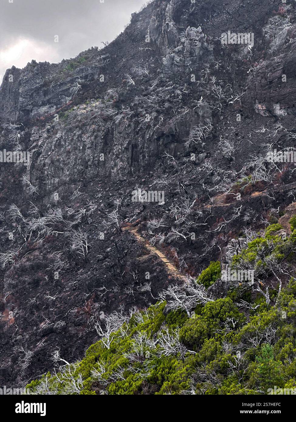PR1 Madeira island Portugal forest fires close up dramatic contrast ...