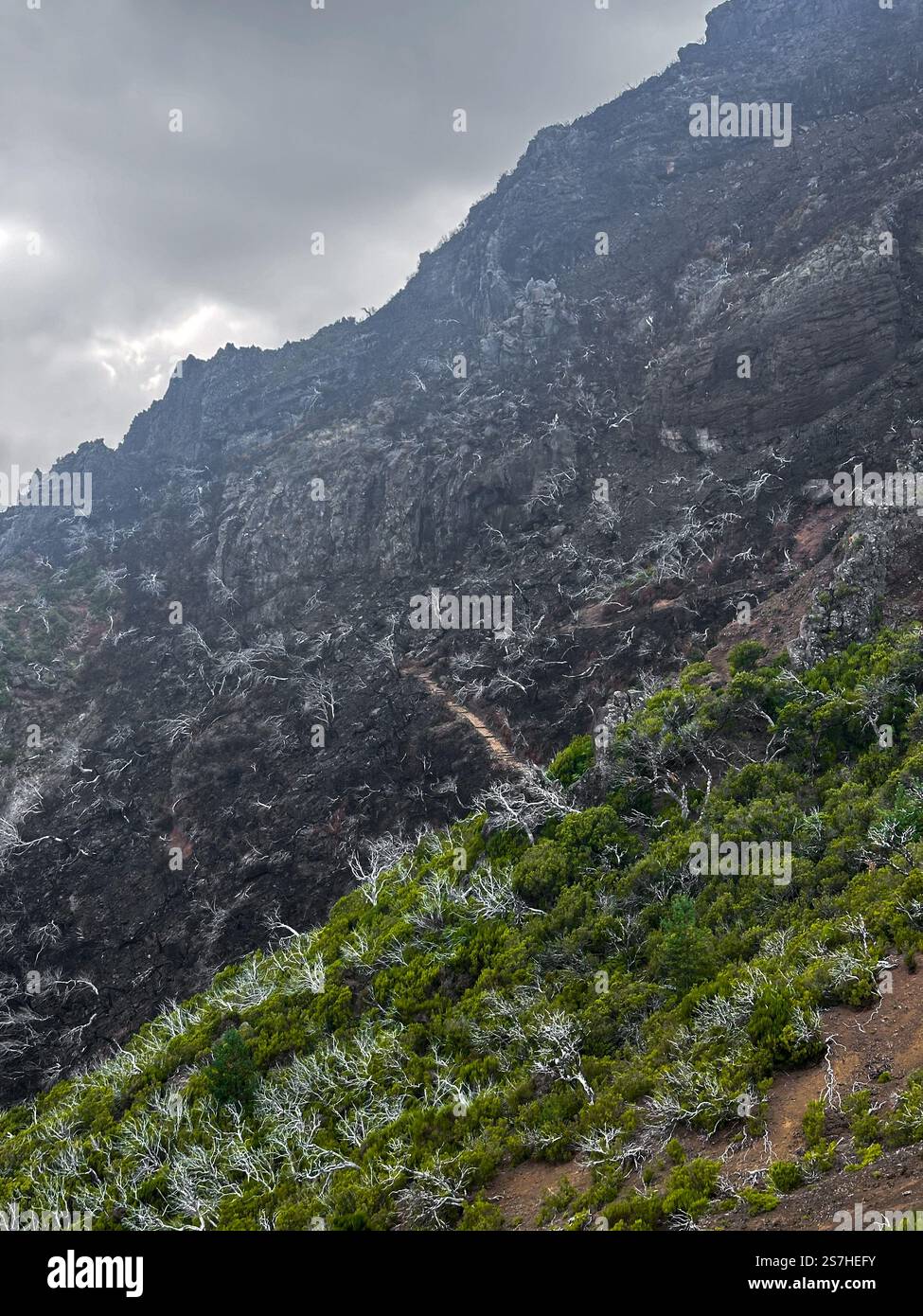 PR1 Madeira island Portugal forest fires dramatic contrast burnt earth ...