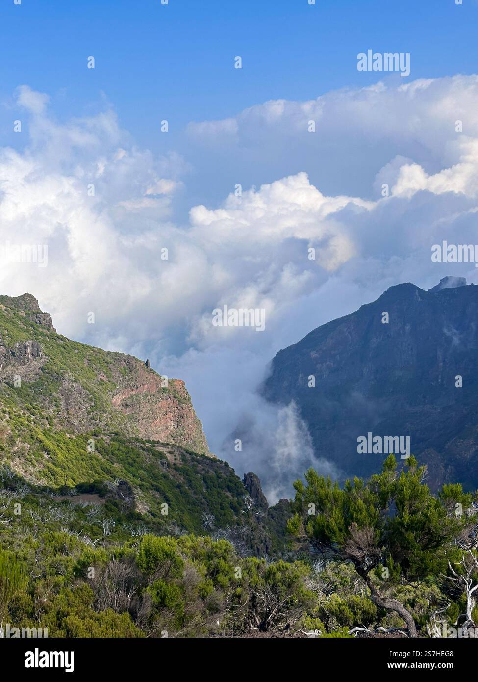 Madeira island PR1 Portugal forest fires consequences blue sky fog mist ...