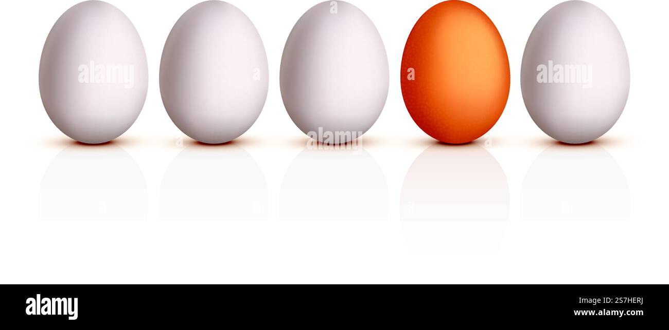 illustration of set of different color group of eggs. picture of egg ...