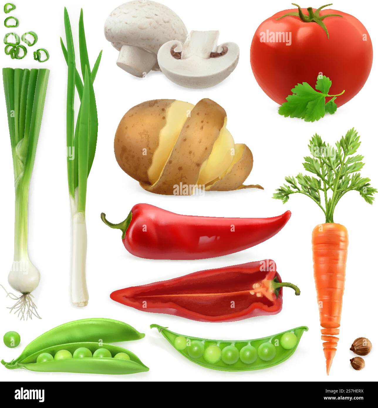 Realistic vegetables. Potato, tomato, green onions, peppers, carrot and ...