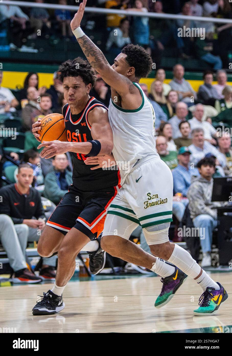 2025 0587 jpg hi-res stock photography and images - Alamy