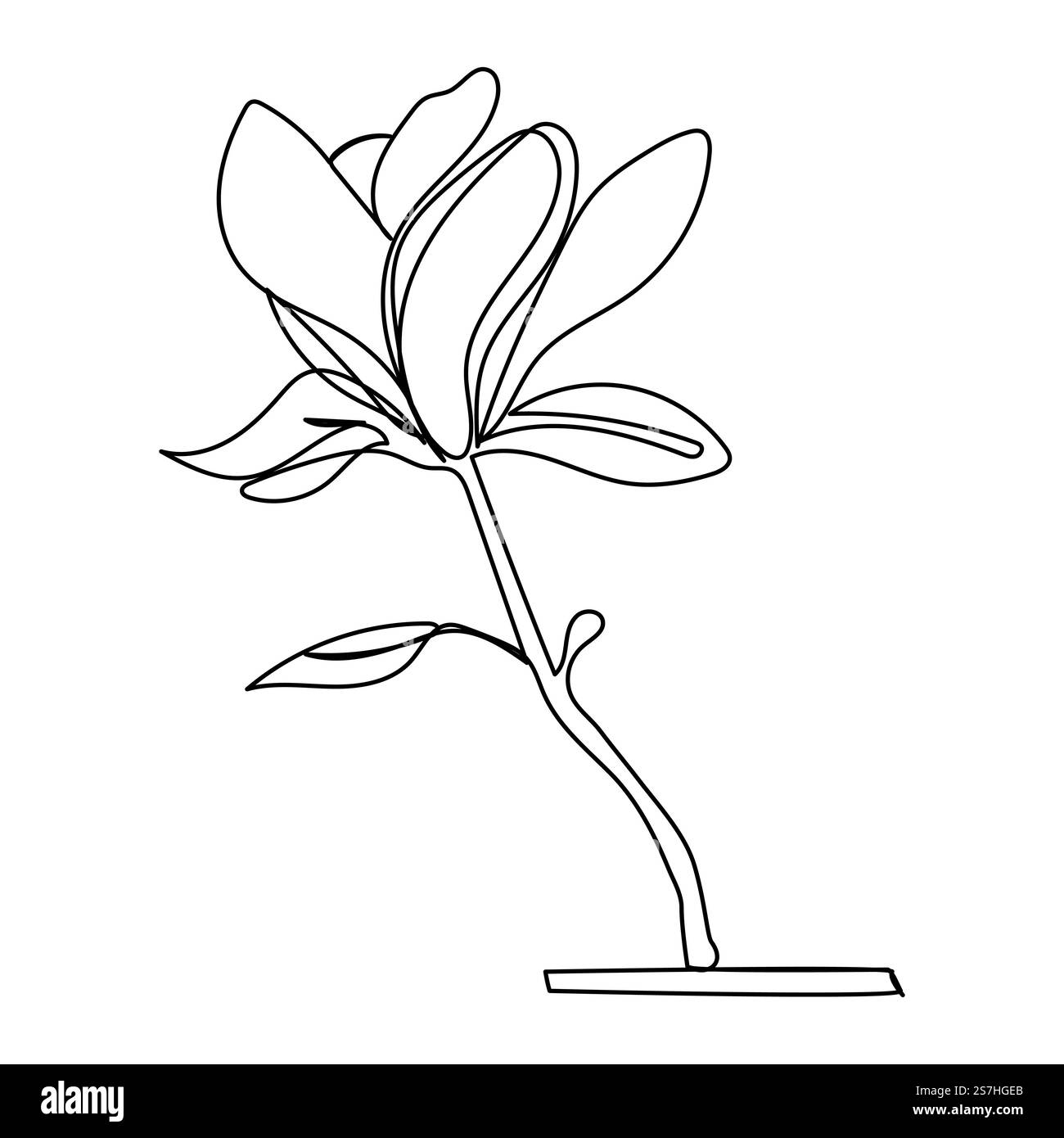 Botany bay outline Black and White Stock Photos & Images - Alamy