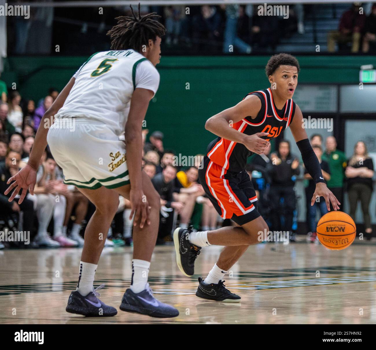 2025 0554 jpg hi-res stock photography and images - Alamy