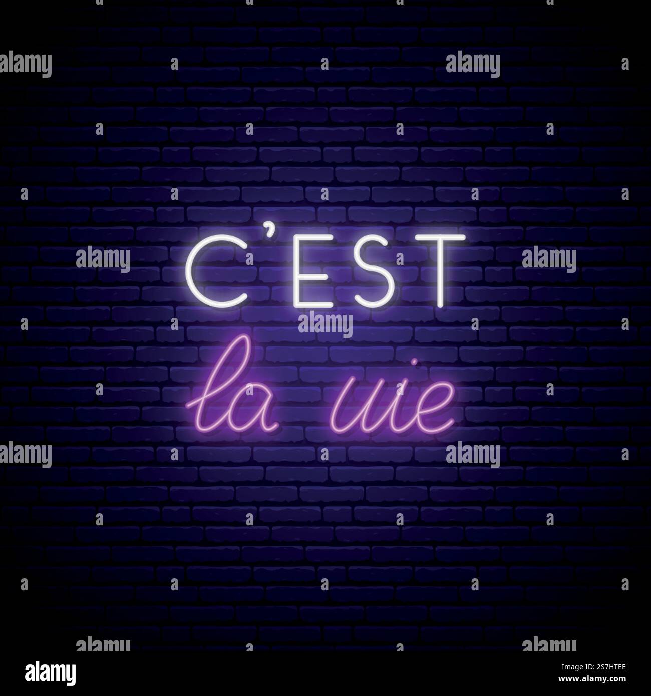 C’est la vie neon signboard. It’s a life on french. Glowing french ...