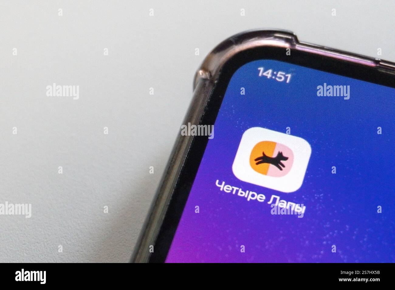 Moscow, Russia - January 19, 2025:Russian app Chetyre lapy on ...