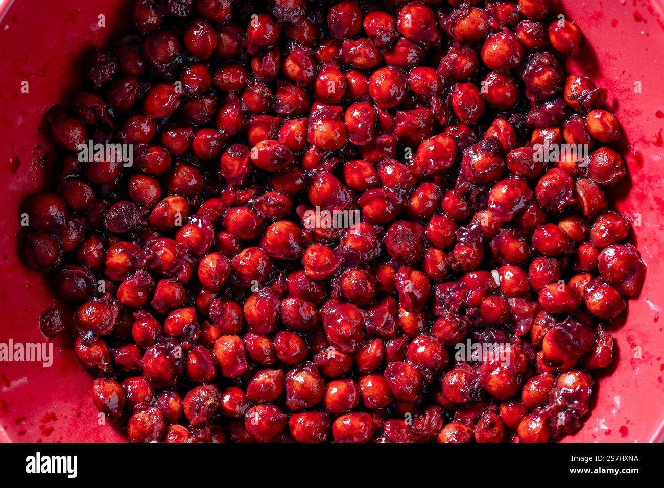 Lots of sour cherry pits as a background close up. Texture of dried ...