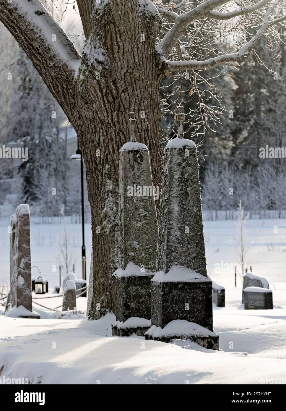 Two high tombstones under a tree in wintertime Stock Photo - Alamy