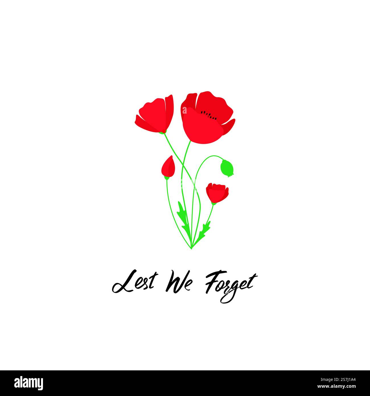 Anzac Day vector banner. Red Poppy flower illustration and lettering ...