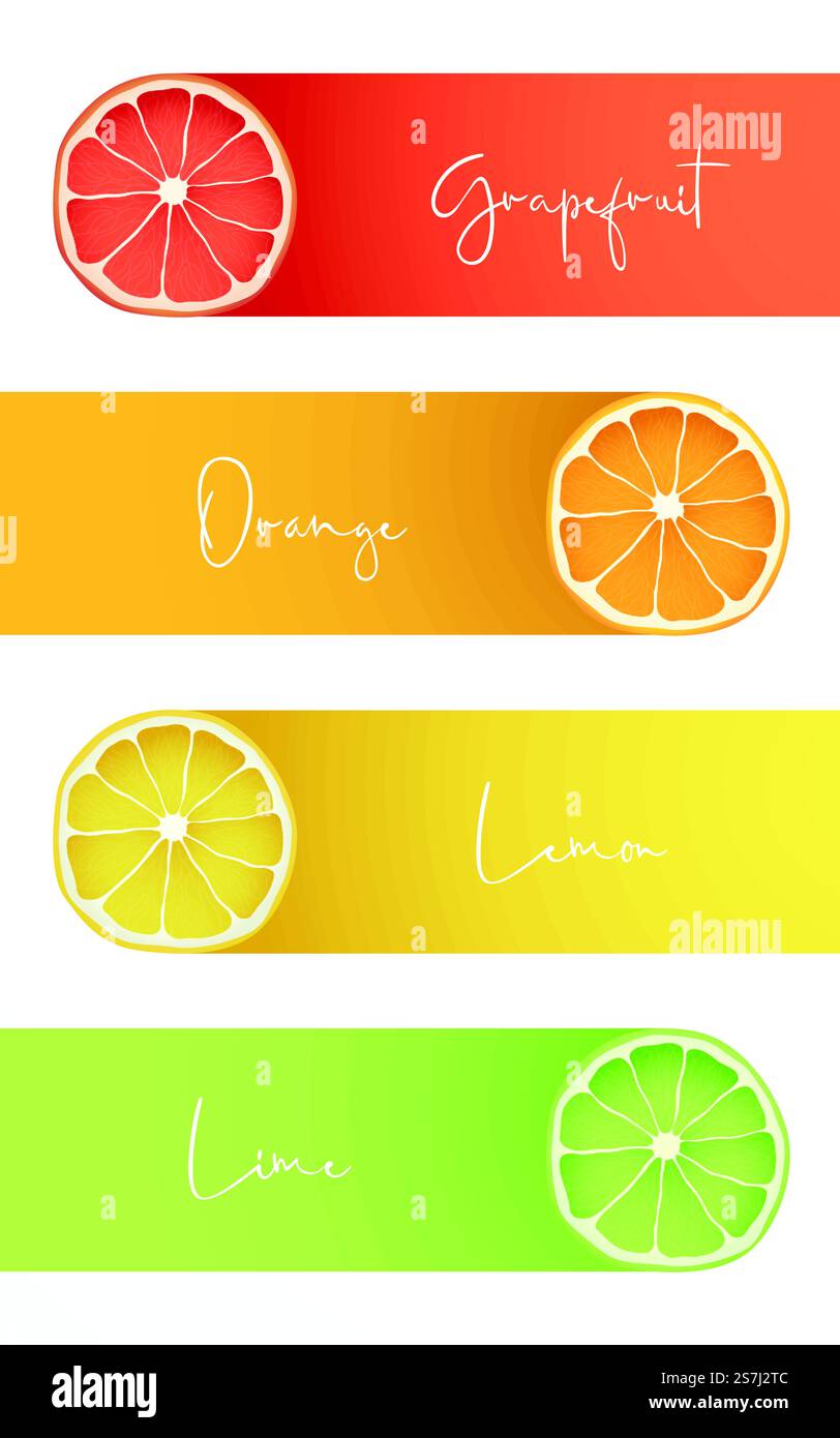 Banners with fresh fruits of Grapefruit, Orange, Lemon and Lime. Elements for infographics ...
