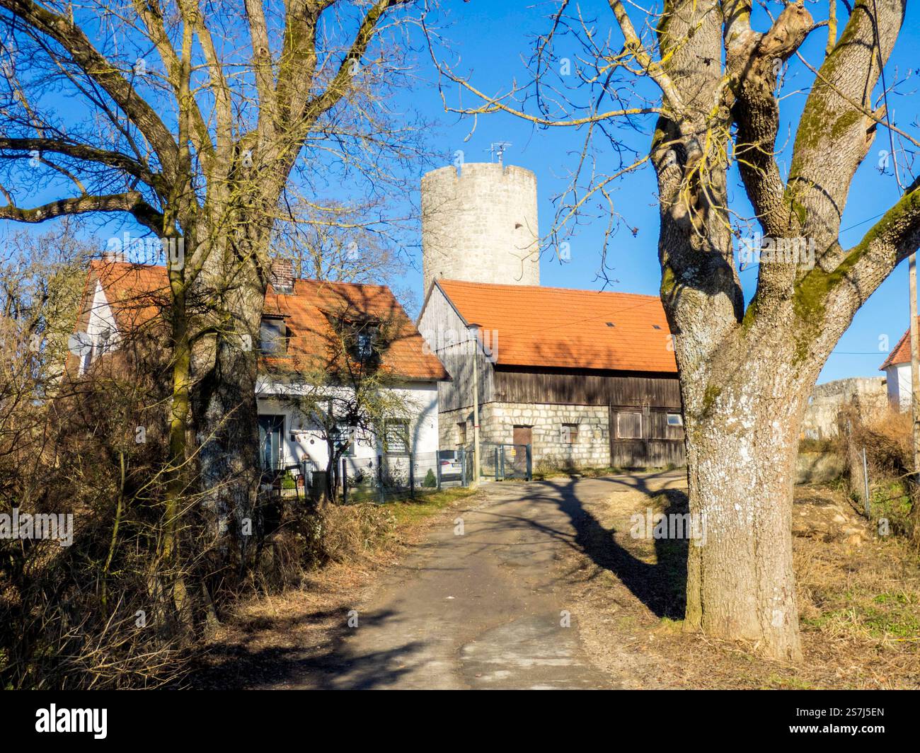 19.01.2025 Die Burgruine Wolfstein Das historisches Wahrzeichen der ...