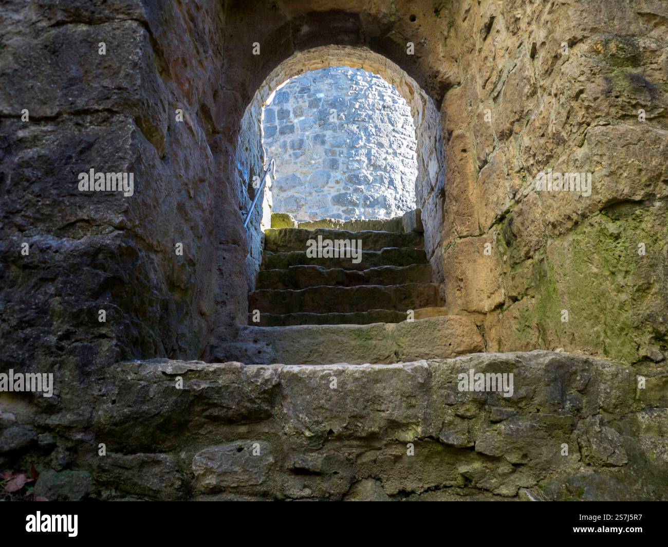 19.01.2025 Die Burgruine Wolfstein Das historisches Wahrzeichen der ...