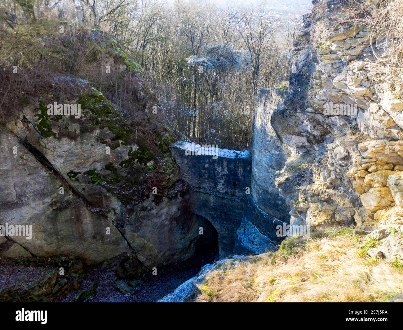 19.01.2025 Die Burgruine Wolfstein Das historisches Wahrzeichen der ...