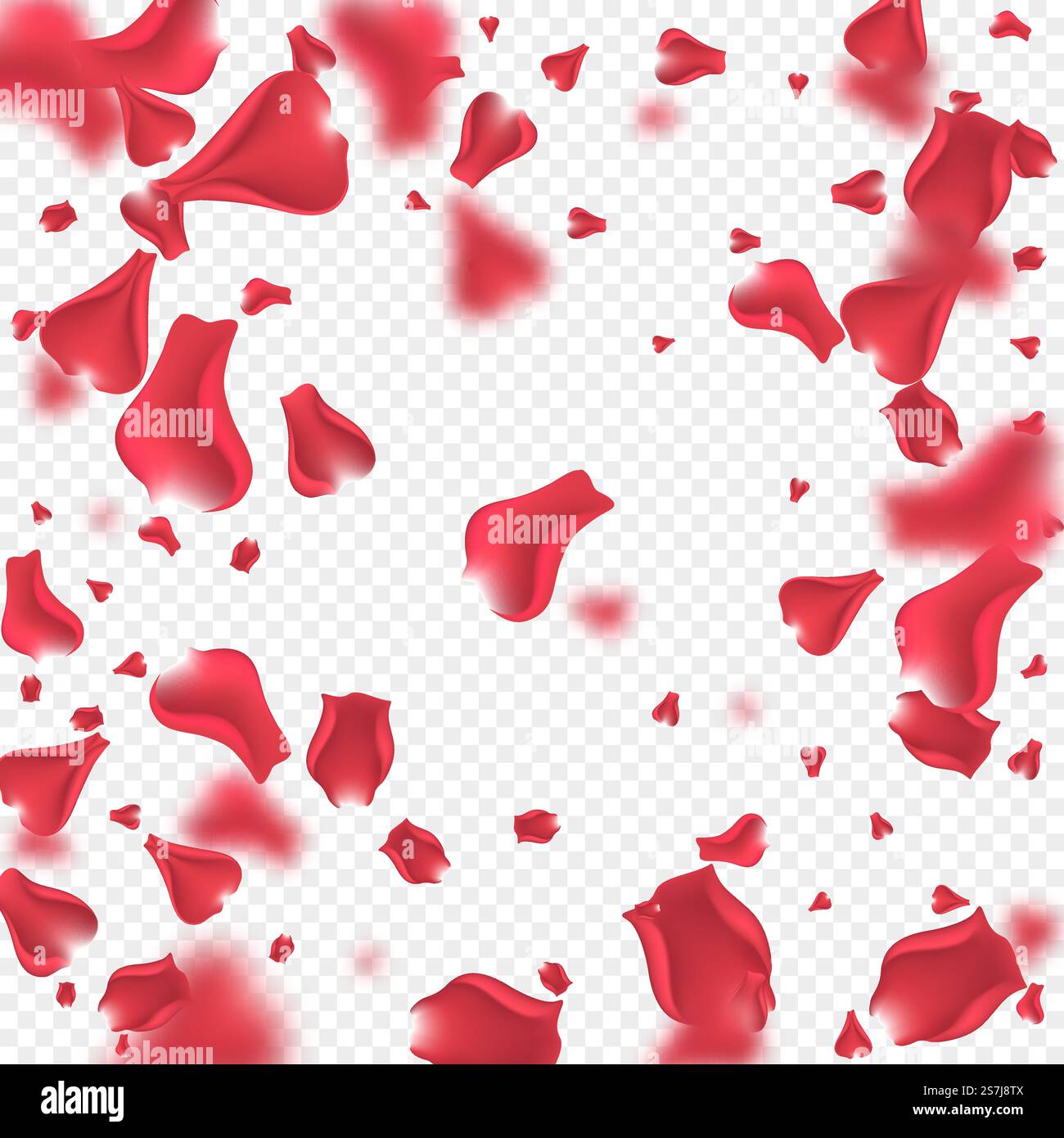 Flying pink rose petals with blur effect. Transparent background ...
