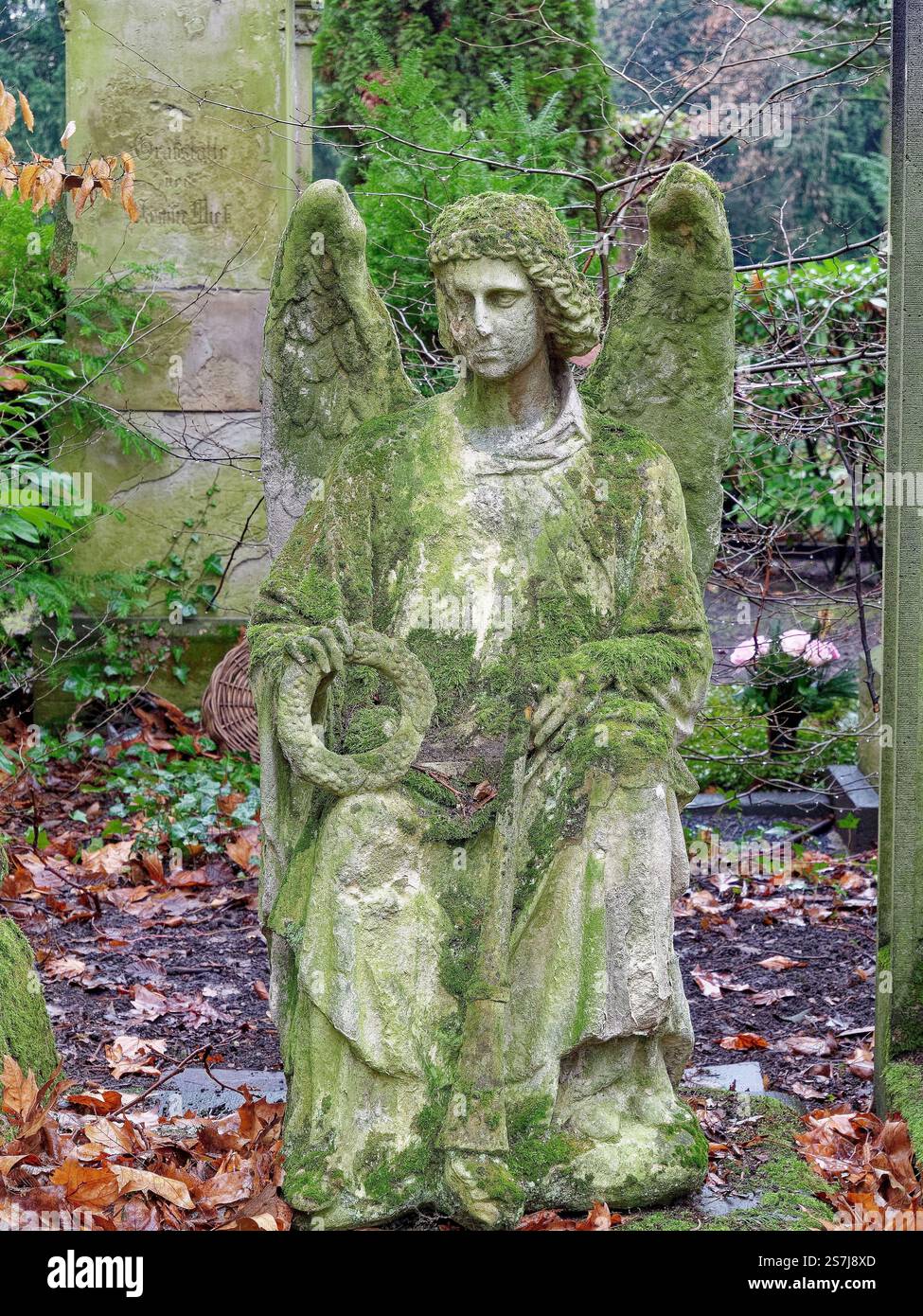 Statue of a praying angel in a cemetery, statue is overgrown with moss ...