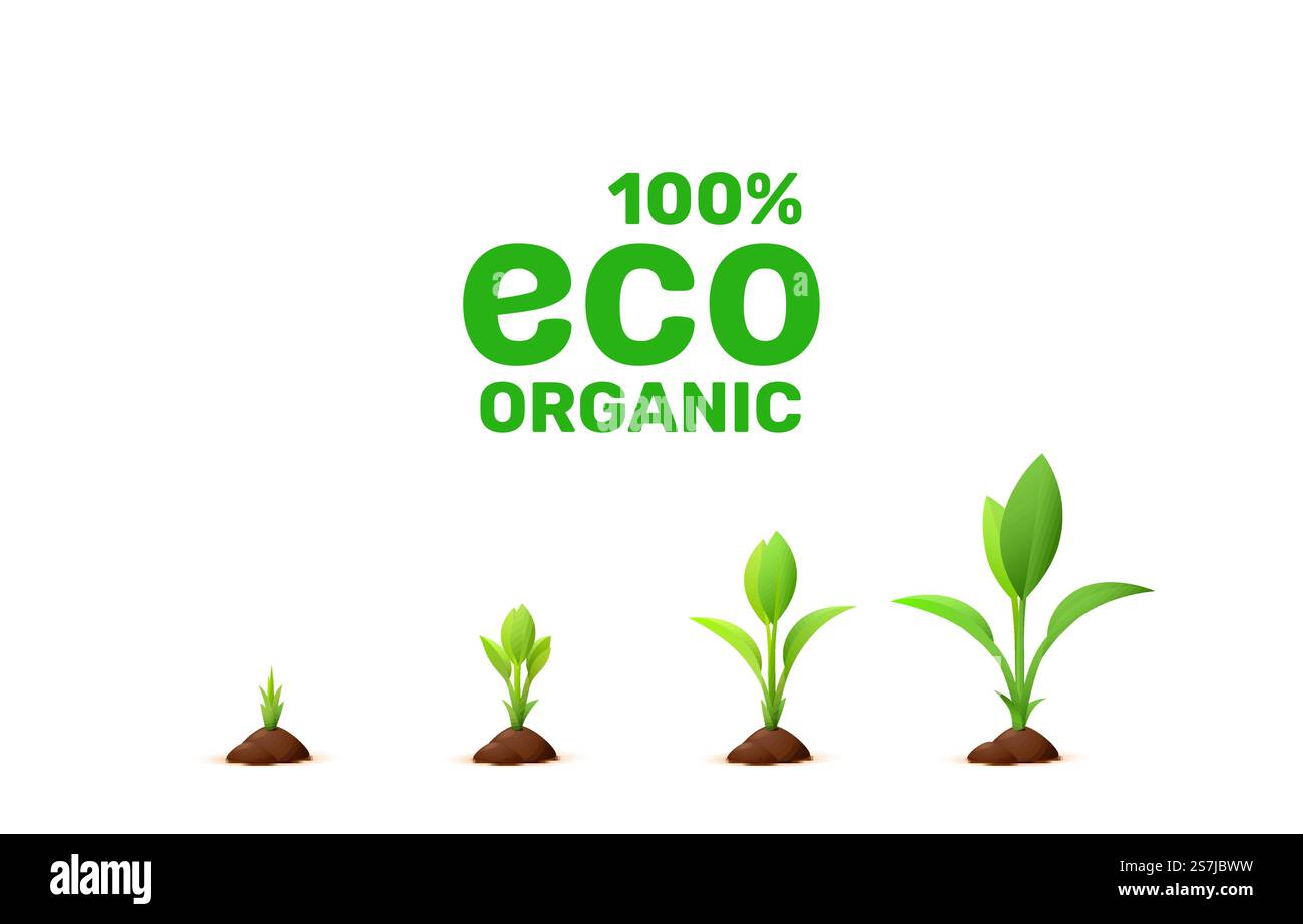 plant growth stages, icon on a white background. Vector illustration ...