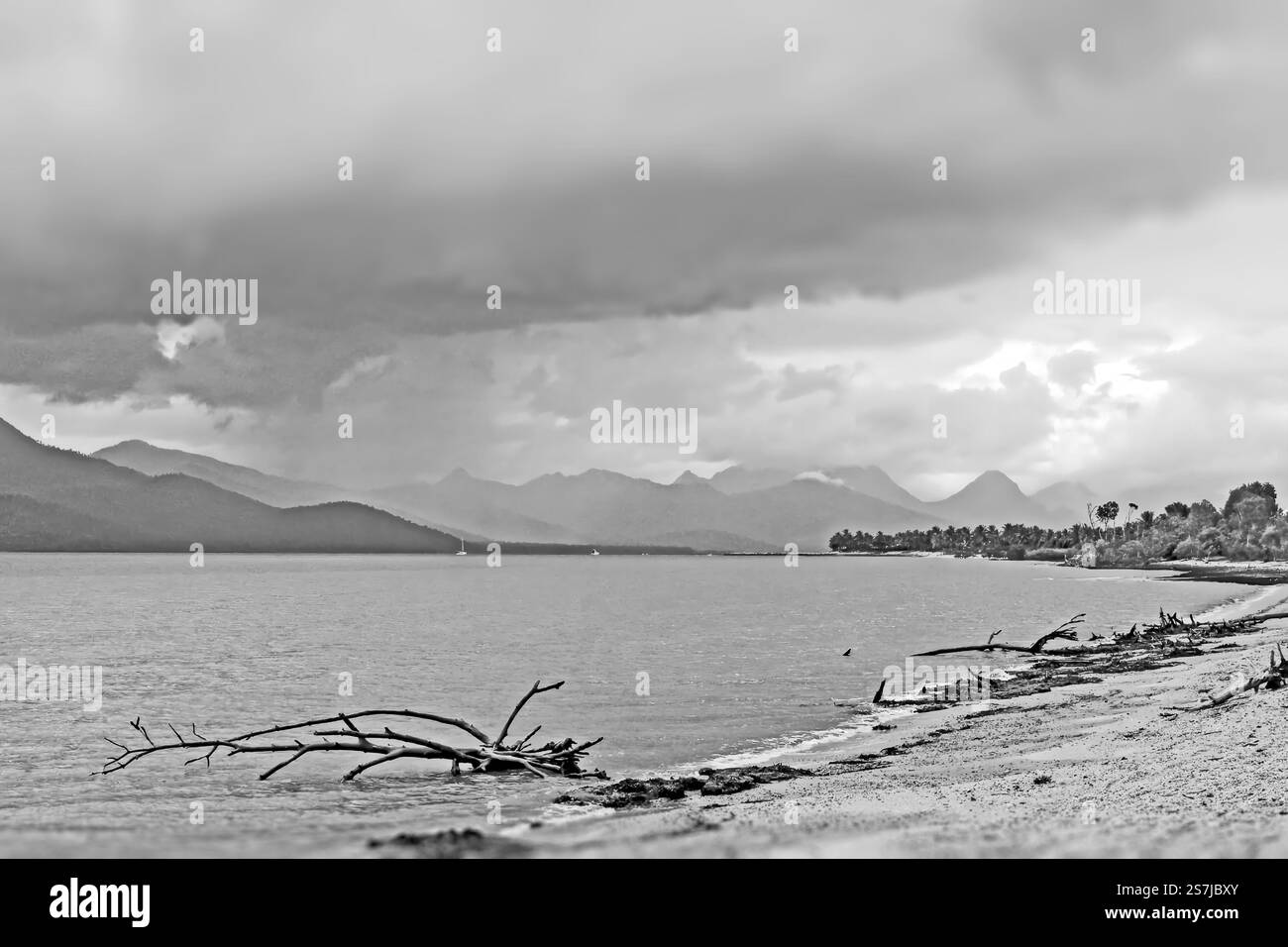 Atmospheric/gnarly black and white image edit from Cardwell with debris ...