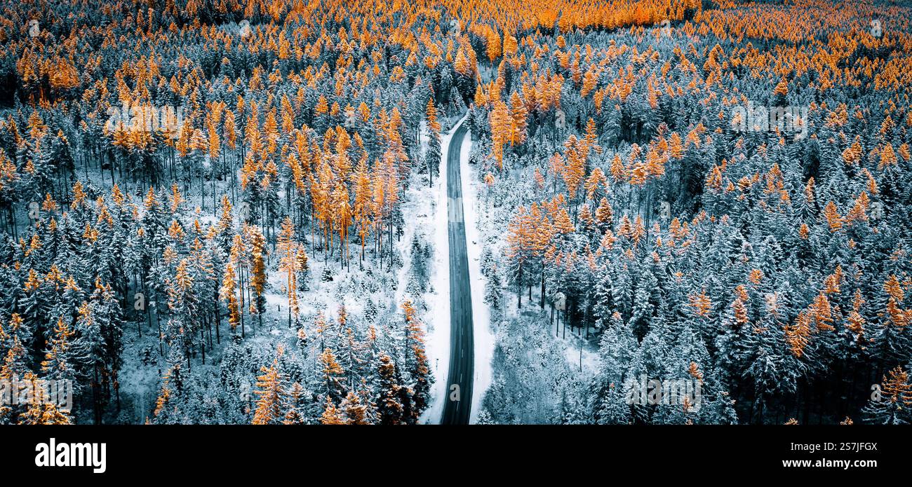 A scenic aerial view of a snowy forest landscape with vibrant orange ...