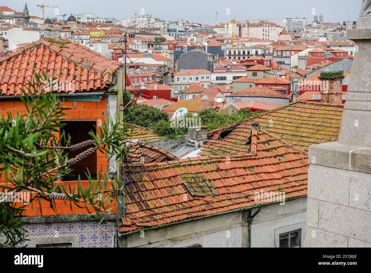 Old residential houses with red rooftops and white exterior walls in ...
